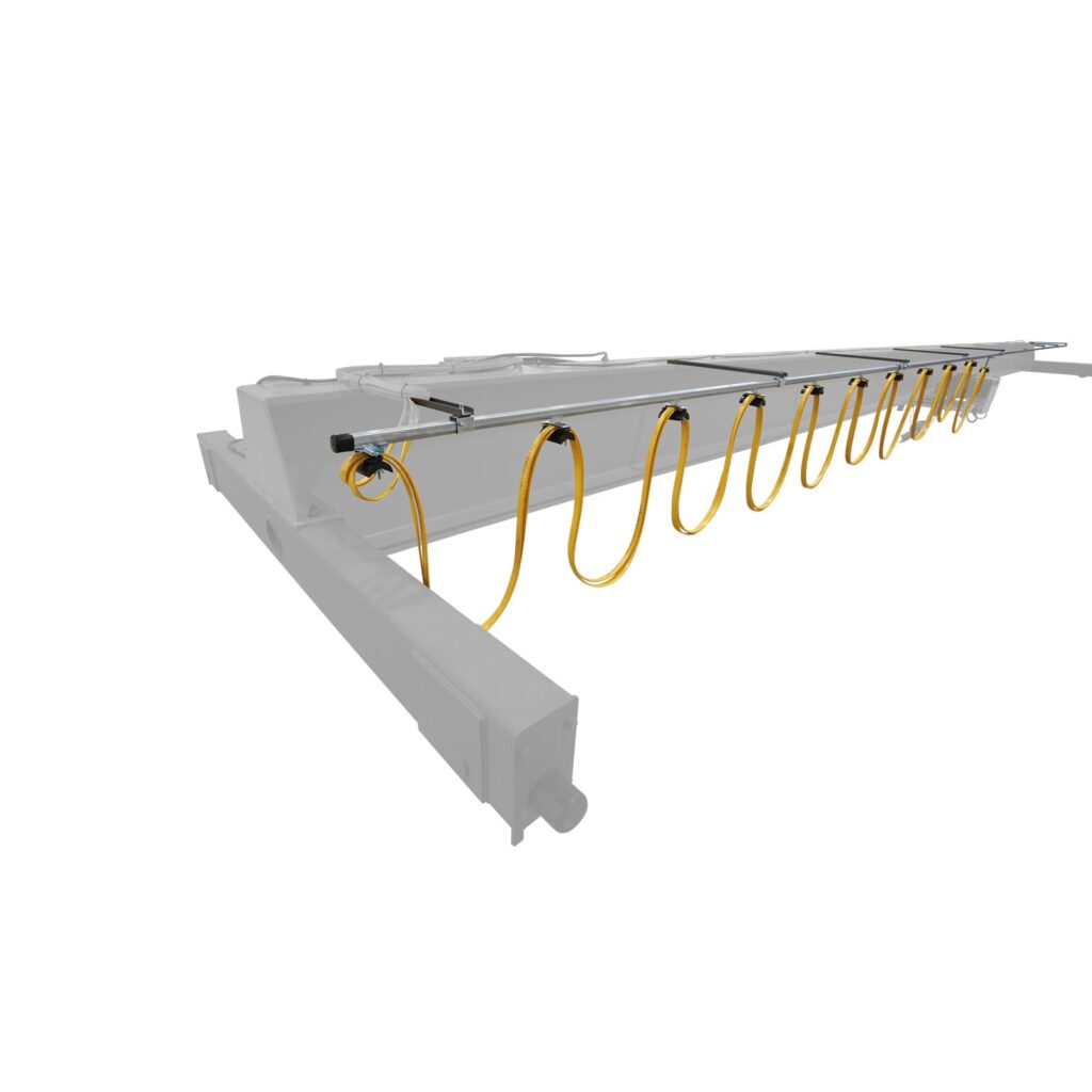 Festoon | PWI